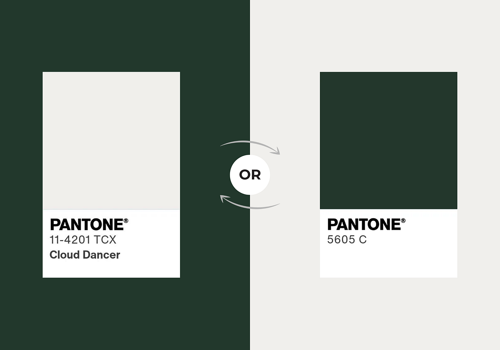 M3 Office | Color Clash 2026: Cloud Dancer vs. Phthalo Green